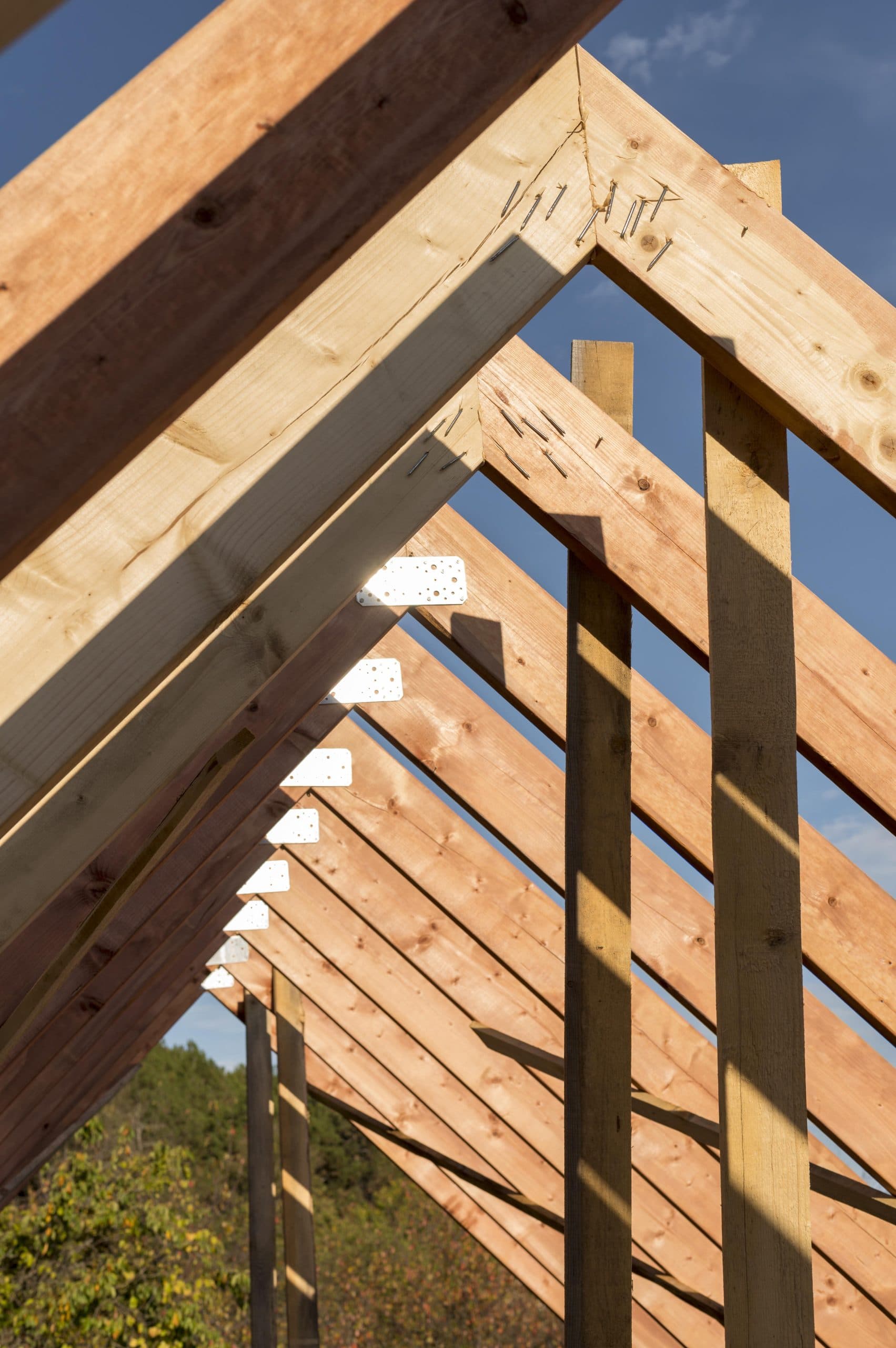 NEXGEN Builders | Licensed Building Company in Tauranga
